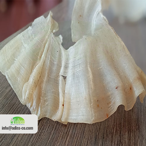 What is tragacanth gum and in what cases is it used? | ADISS TRADING ...