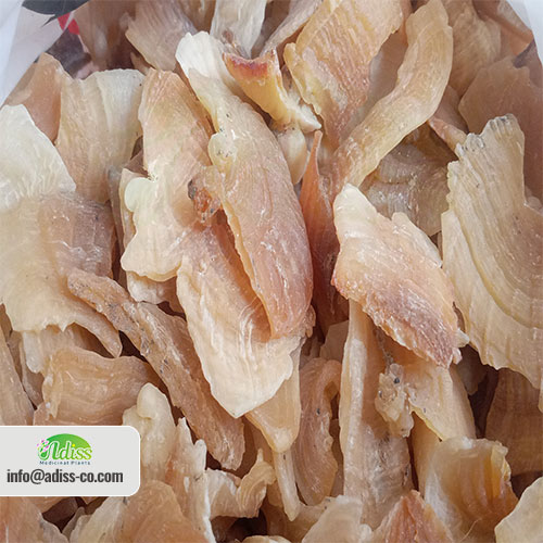 What is tragacanth gum and in what cases is it used? | ADISS TRADING ...