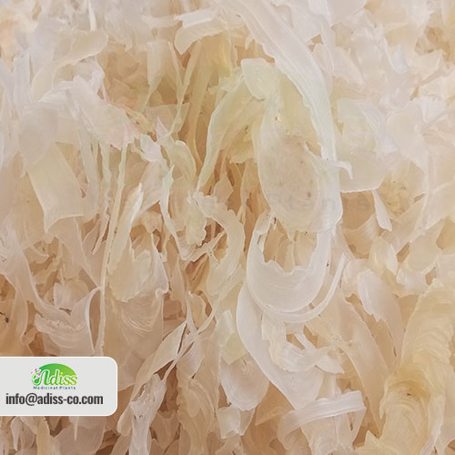 What is tragacanth gum and in what cases is it used? | ADISS TRADING ...