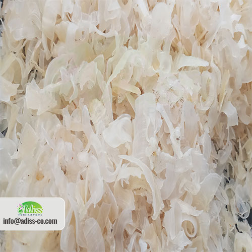 What is tragacanth gum and in what cases is it used? | ADISS TRADING ...