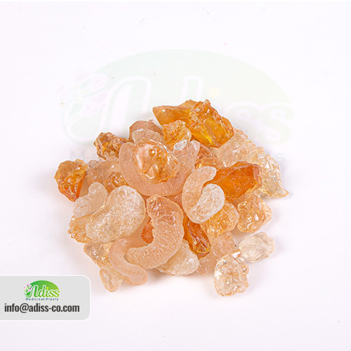Persian Gum ( Zedoo ) | ADISS — Medicinal Herbs, Dried Fruits & Natural ...