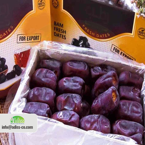 Supplier and exporter of the best Iranian Dates | ADISS — Medicinal ...