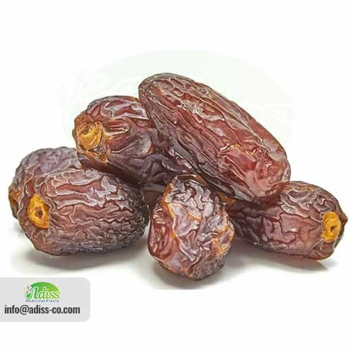 Supplier and exporter of the best Iranian Dates | ADISS — Medicinal ...