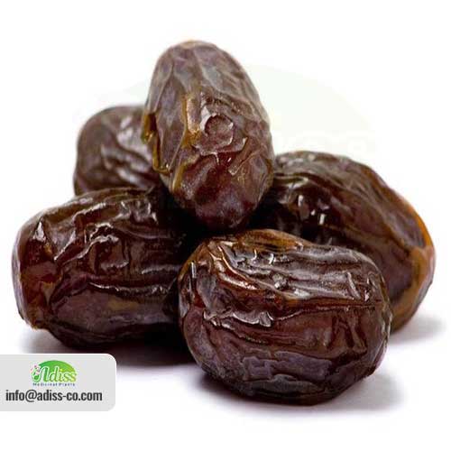 Supplier and exporter of the best Iranian Dates | ADISS — Medicinal ...