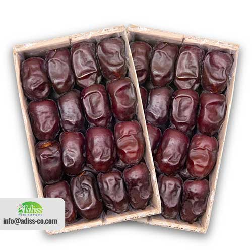 Supplier and exporter of the best Iranian Dates | ADISS — Medicinal ...